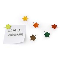 落葉捎息-磁鐵【QUALY】- TAAZE 讀冊生活