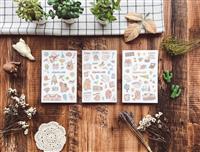 Dimanche感壓貼 [熊熊校園v.2]- TAAZE 讀冊生活