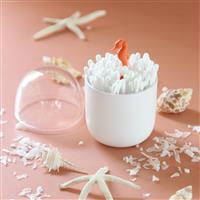 棉花棒罐(搶救海馬)【QUALY】- TAAZE 讀冊生活