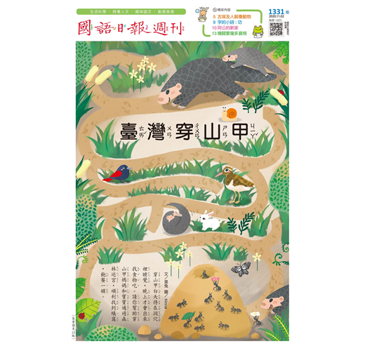 國語日報週刊 11月號/2020 第1331~1334期- TAAZE 讀冊生活