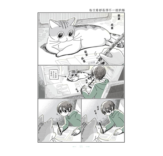 今晚有貓伴身邊（3）- TAAZE 讀冊生活