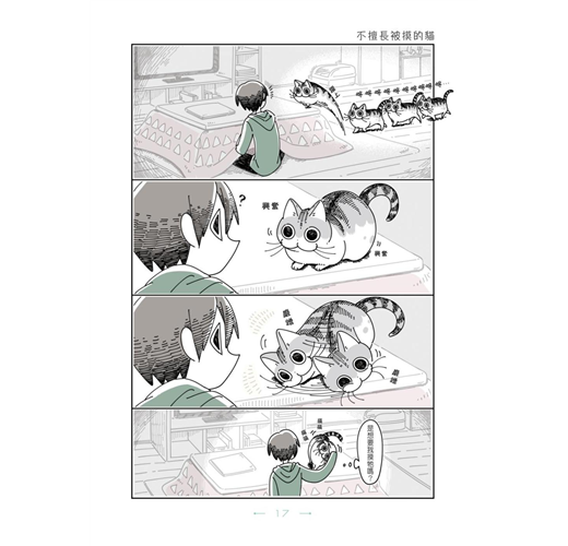 今晚有貓伴身邊（3）- TAAZE 讀冊生活