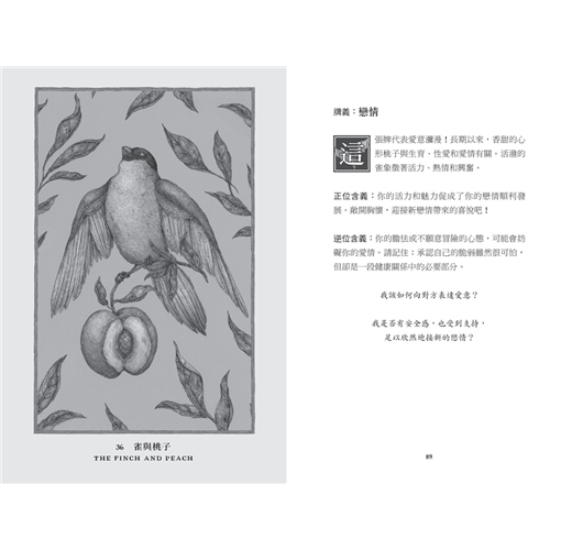 森林守護者神諭卡：52張結合動物與植物的牌卡，為你清楚指引人生方向- TAAZE 讀冊生活